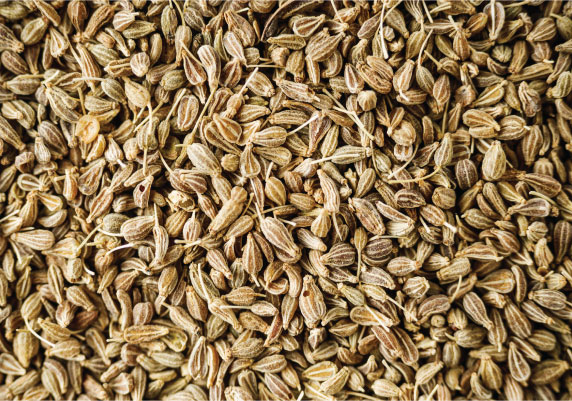 Quebec Quality and Expertise | Dion Herbs and Spices